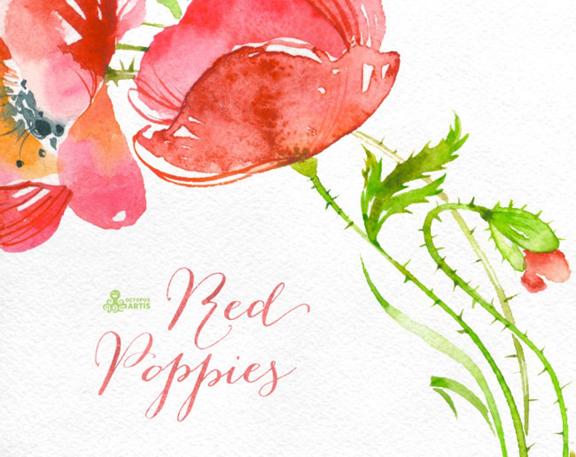 Red Poppies Frame. Handpainted Watercolor Poppy Wreath - Etsy