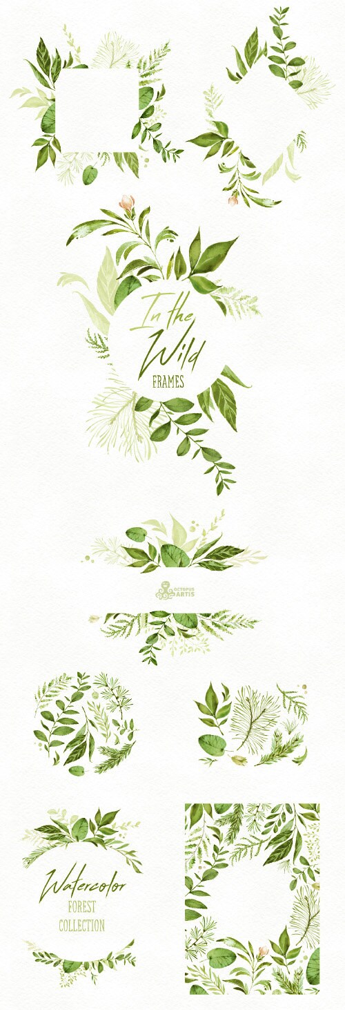 In the Wild. Watercolor Floral Frames Arrangements Leaves | Etsy