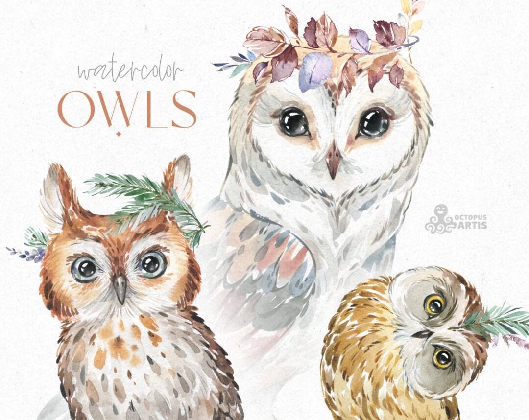 Owls. Watercolor Animals Clipart, Woodland, Birds, Forest, Wreath ...