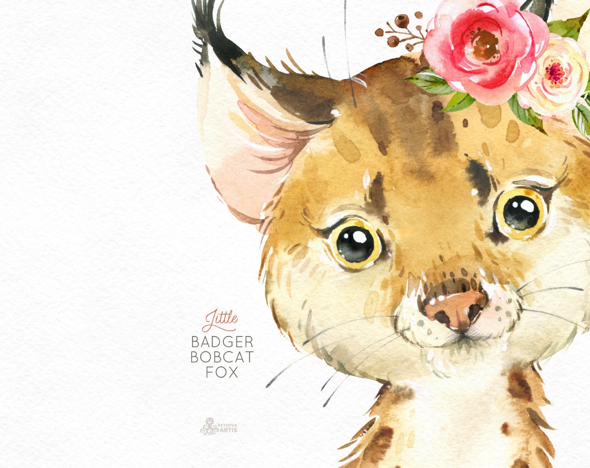 Little Badger Bobcat Fox. Watercolor Animals Clipart Lynx - Etsy
