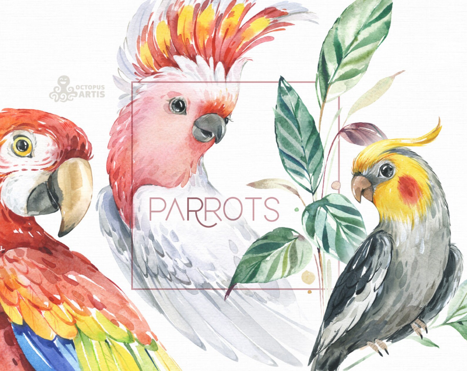Parrots. Watercolor Birds Clipart Tropical Leaves Floral - Etsy