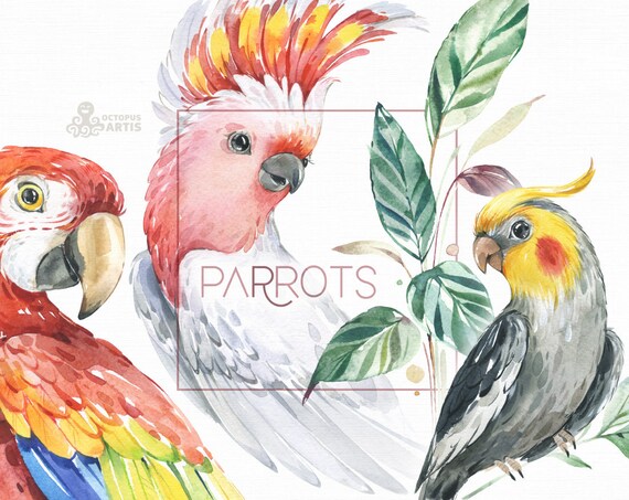 Parrots. Watercolor Birds Clipart Tropical Leaves Floral - Etsy