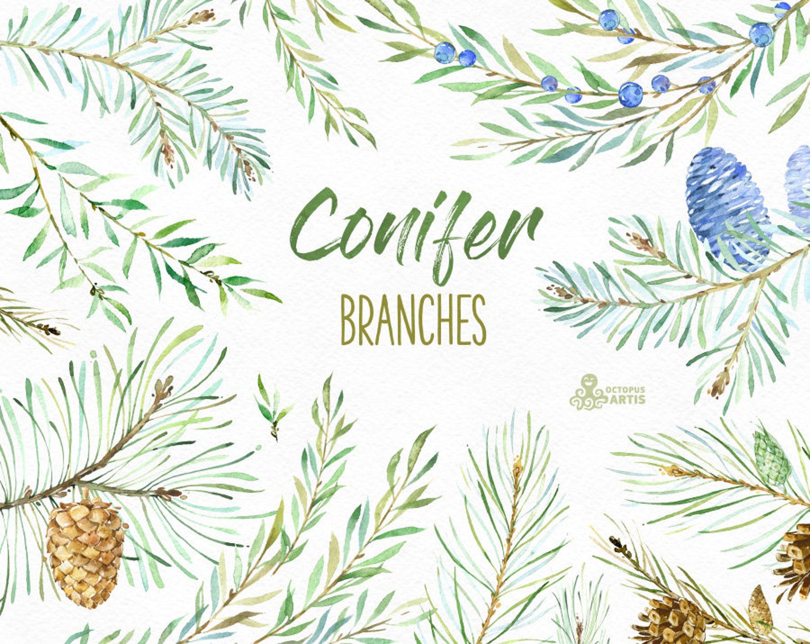 Conifer Branches. Watercolor Floral Clipart Christmas Pines | Etsy