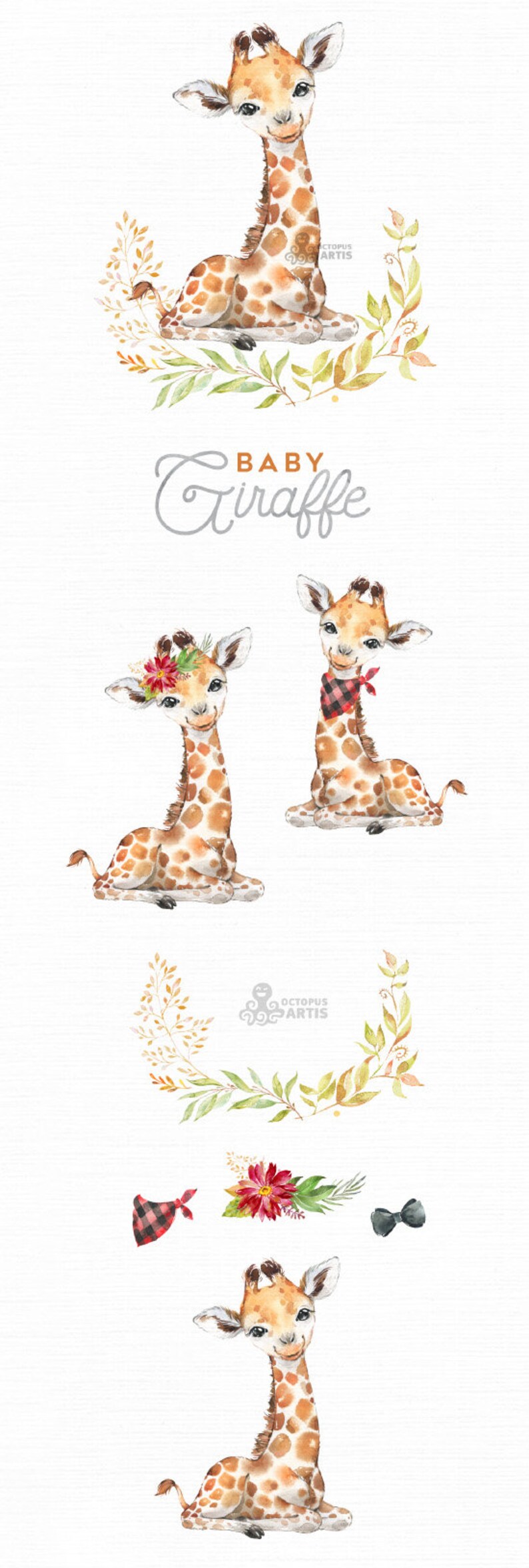 Baby Giraffe. Watercolor Little Animal Clipart Babies - Etsy Australia