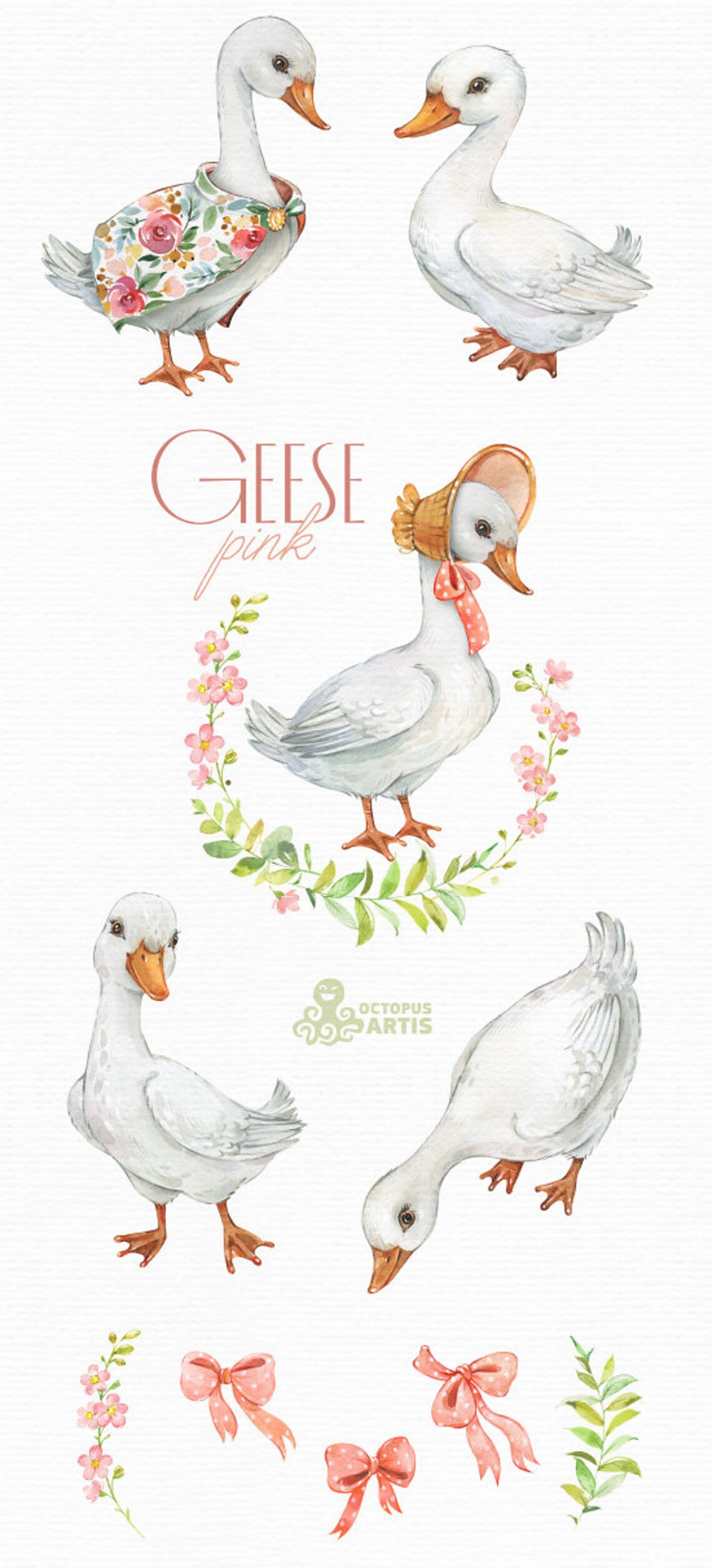 Geese Pink. Watercolor Animals and Floral Clipart Goose - Etsy