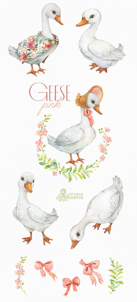 Clipart Geese
