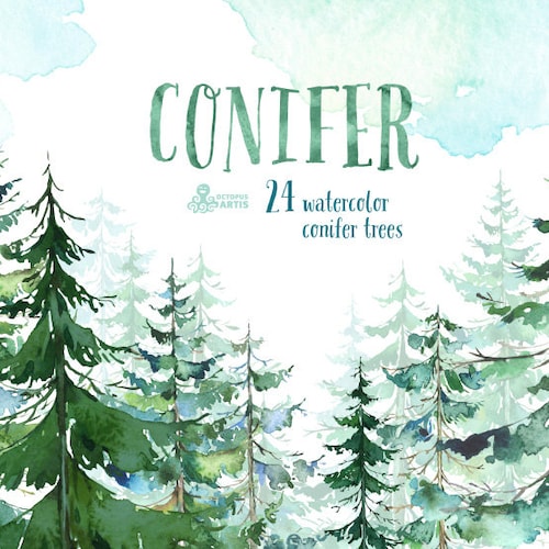 Watercolor Forest Clipart Pine Trees Clipart Hand Painted - Etsy