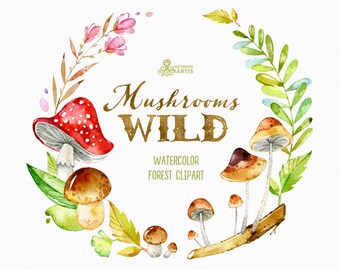 Watercolor Mushrooms. Forest Clipart Autumn Fairytale - Etsy