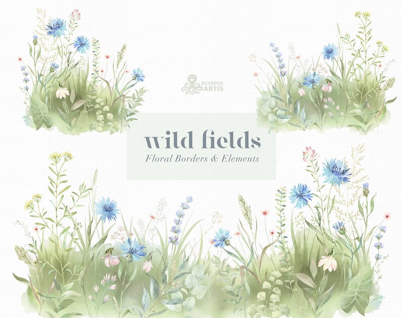 Wild Fields. Floral Borders & Elements. Watercolor Flowers - Etsy