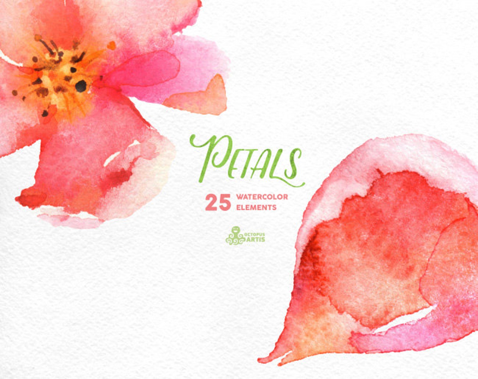 Petals 25 Watercolor Elements Bouquet Flowers. Handpainted - Etsy