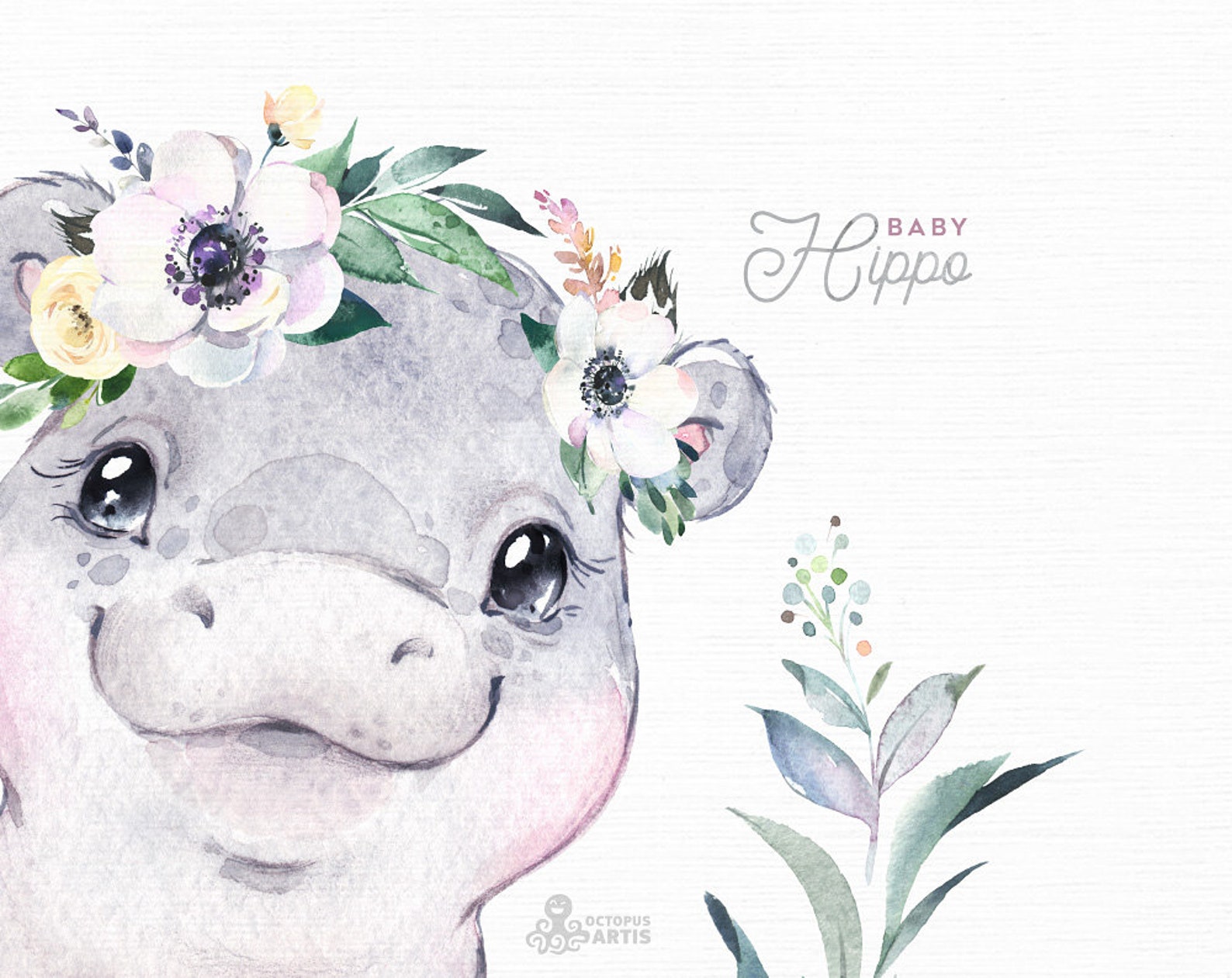 Baby Hippo. Watercolor Little Animal Clipart Babies Flowers - Etsy Canada