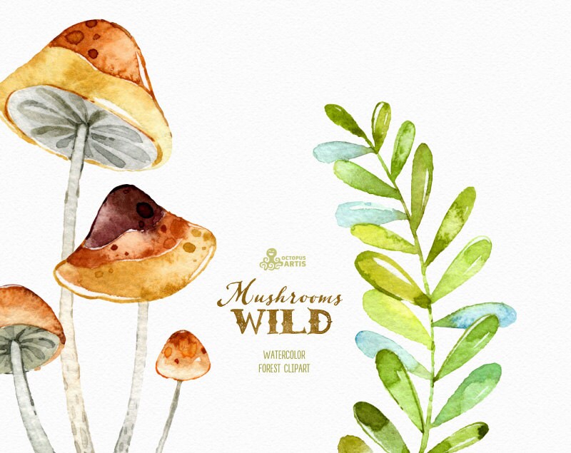Wild Mushrooms. Watercolor Forest Clipart Wreath Autumn - Etsy
