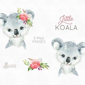 Baby Koala. Watercolor Little Animals Clipart Australia Portrait ...