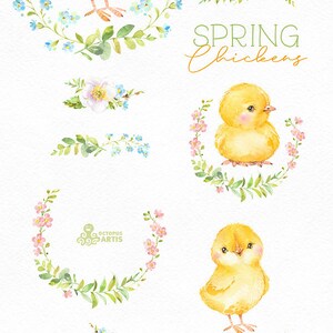 Spring Chickens. Watercolor Little Animals and Floral Clipart, Easter ...