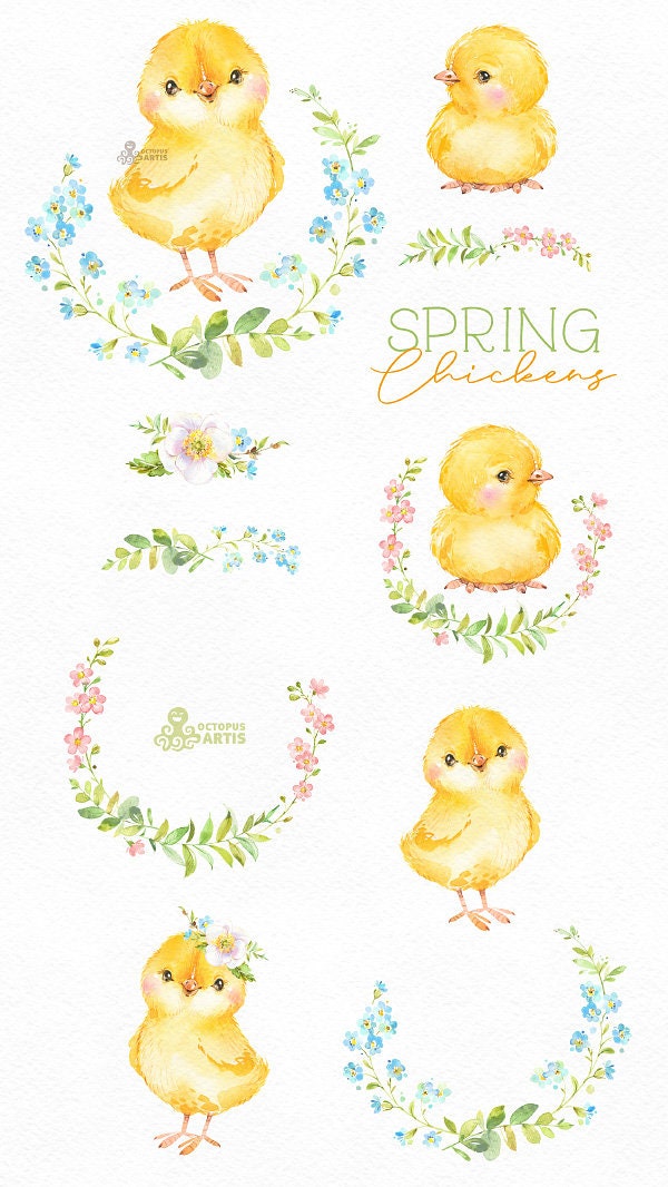 Spring Chickens. Watercolor Little Animals and Floral Clipart - Etsy