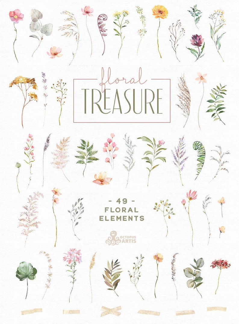 Floral Treasure. Watercolor Flowers Elements Wildflowers - Etsy