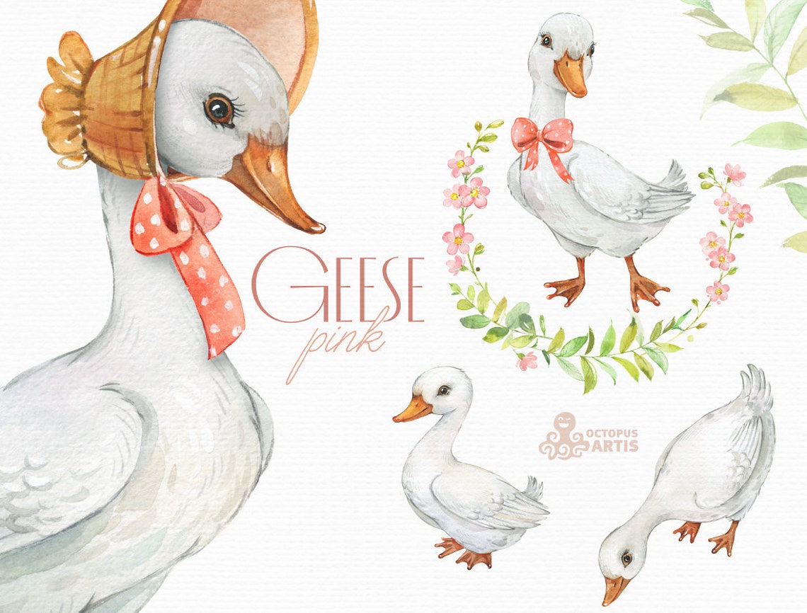 Geese Pink. Watercolor Animals and Floral Clipart Goose - Etsy