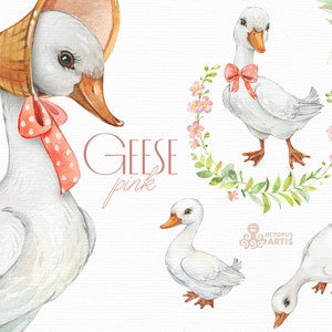 Geese Pink. Watercolor Animals and Floral Clipart, Goose, Spring ...