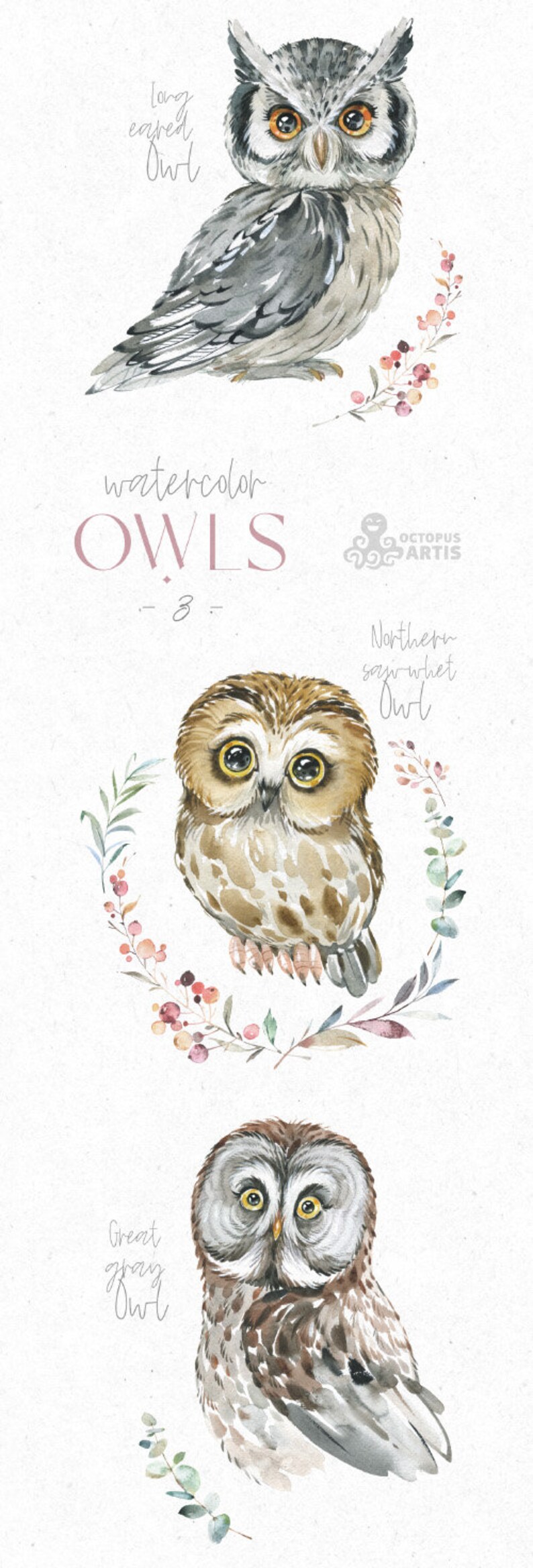 Owls 3. Watercolor Animals Clipart Woodland Birds Forest - Etsy