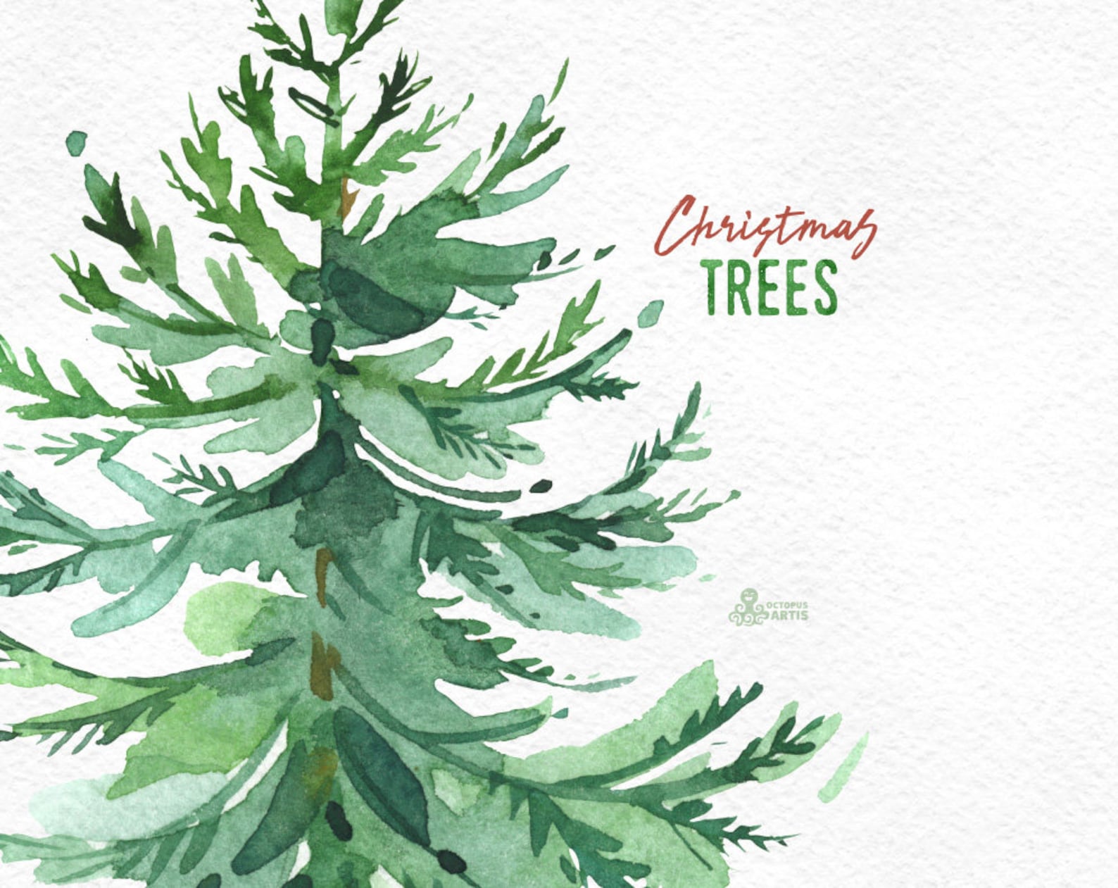 Christmas Trees. 18 Watercolor Holiday Clipart Conifers - Etsy