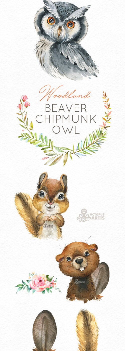 Beaver Chipmunk Owl. Watercolor Animals Clipart Woodland - Etsy