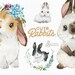Cute Rabbits. Watercolor Little Animals and Floral Clipart, Spring ...
