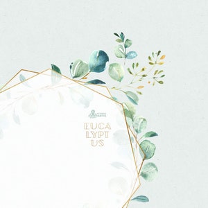 Eucalyptus Frames. Watercolor Geometrical & Floral Clipart, Leaves ...