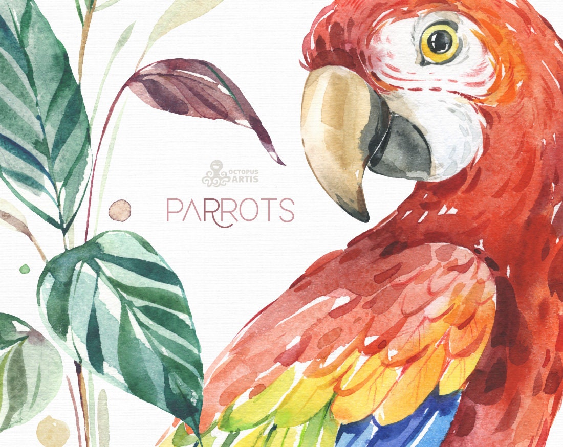 Parrots. Watercolor Birds Clipart Tropical Leaves Floral - Etsy