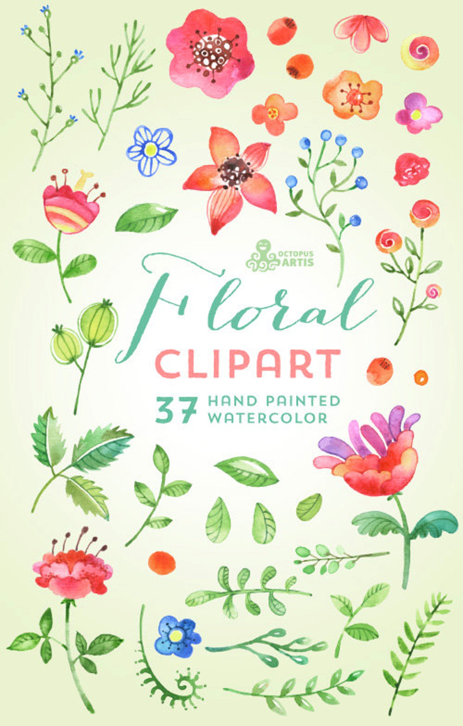 Floral Watercolour Clipart: 37 Elements. Hand painted | Etsy