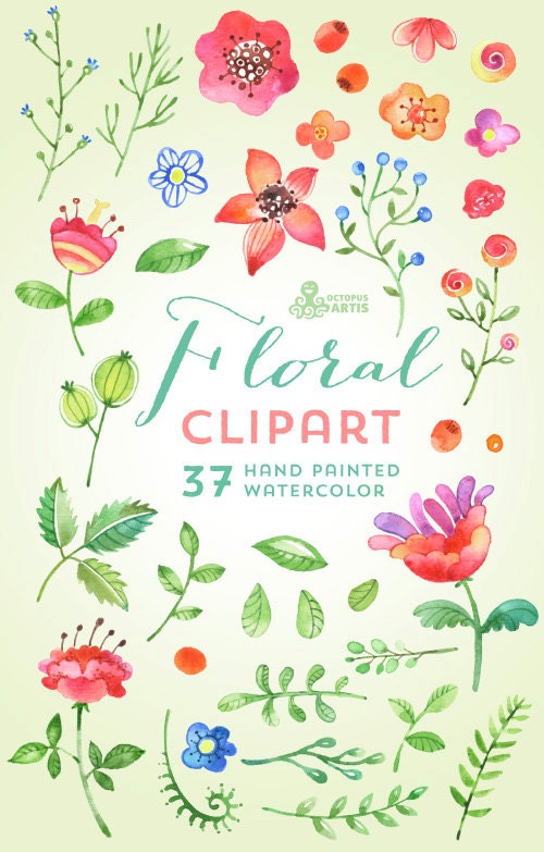 Floral Watercolour Clipart: 37 Elements. Hand painted | Etsy