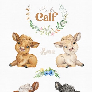 Cute Calf. Watercolor Little Animals Clipart, Cow, Baby, Country ...