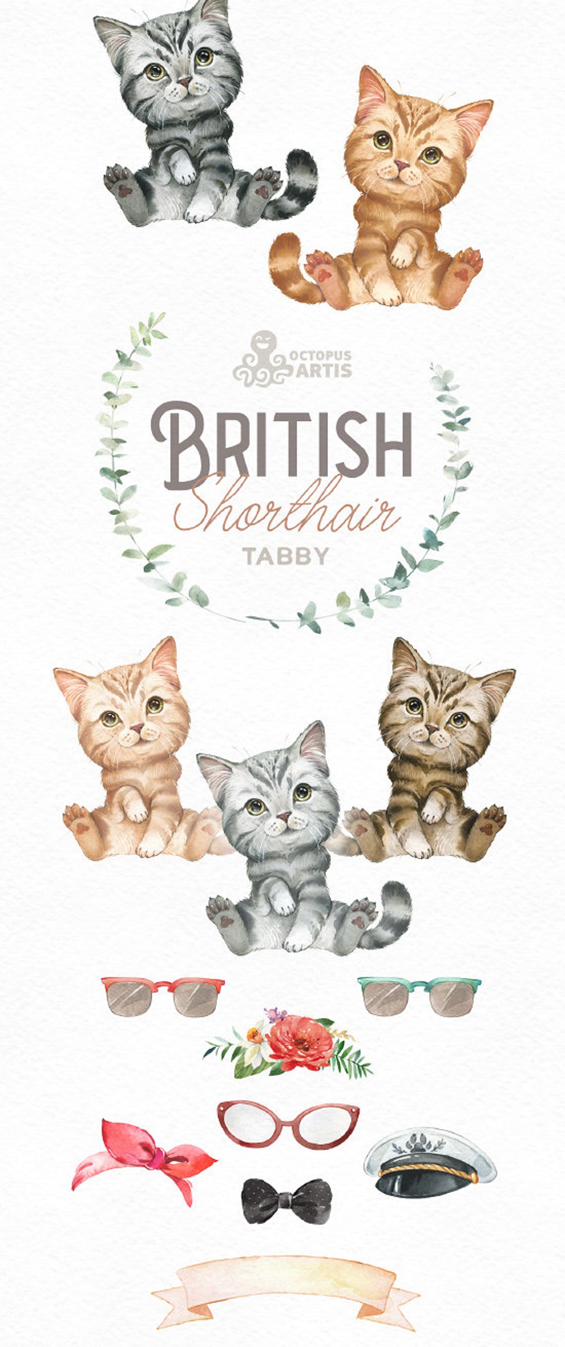 British Shorthair Tabby. Watercolor Little Cat Clipart - Etsy