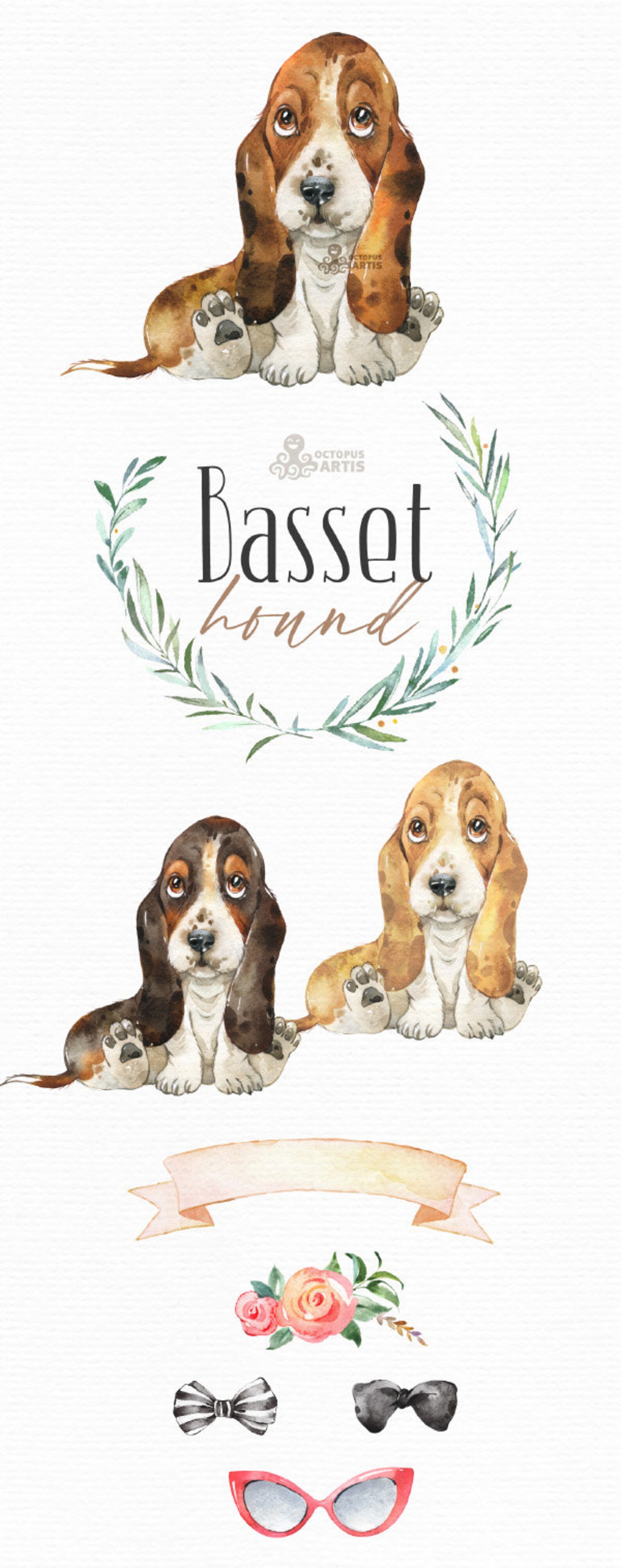 Basset Hound. Watercolor Little Animal Clipart Portrait - Etsy