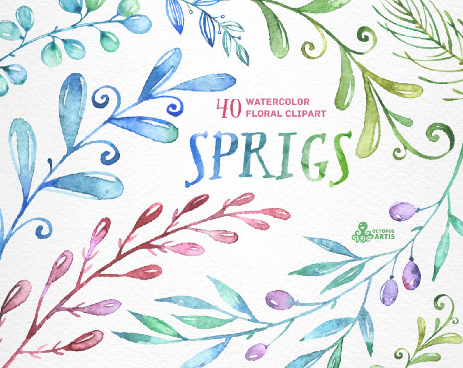 Sprigs. 40 Watercolor Handpainted Clipart Foliage Grass - Etsy