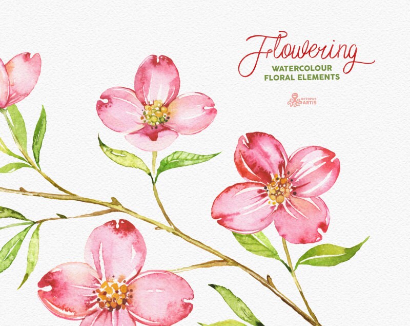 Flowering Elements. Watercolor Clipart Flowers Leaves - Etsy Canada