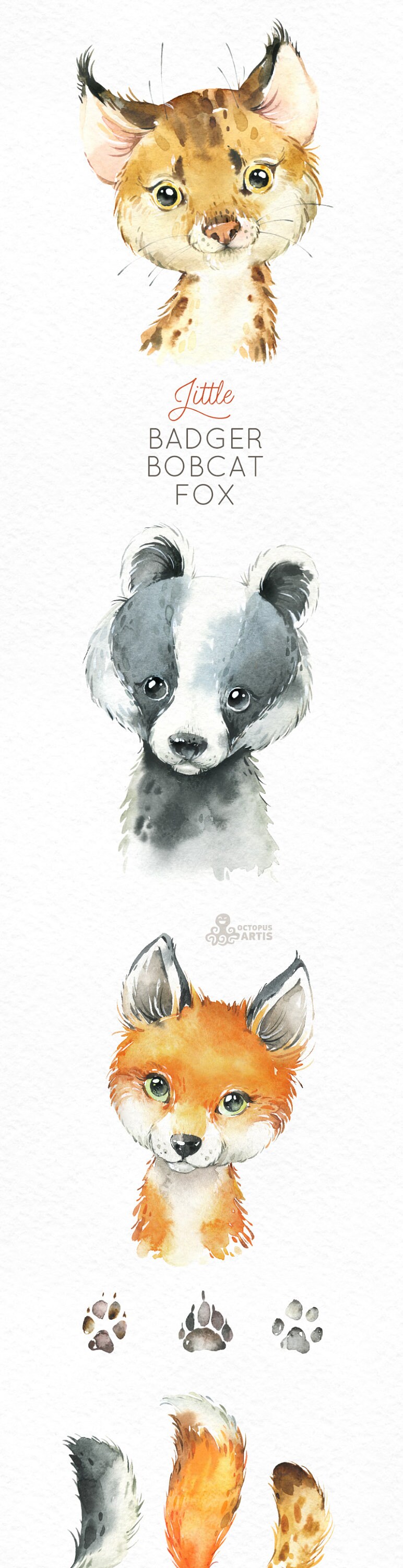 Little Badger Bobcat Fox. Watercolor Animals Clipart Lynx - Etsy