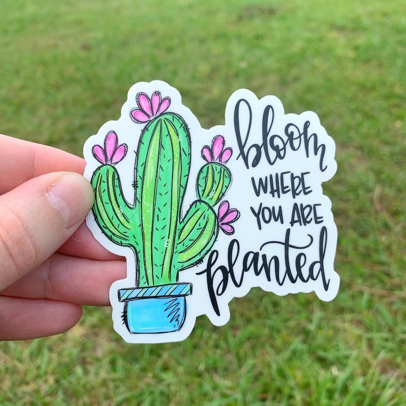Bloom Where You Are Planted Cactus Sticker | Laptop Sticker | Sticker ...