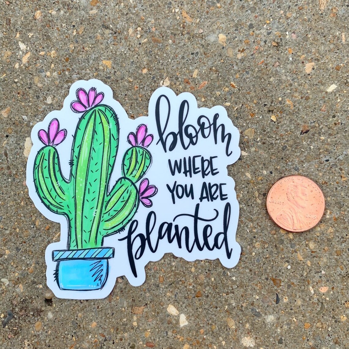Bloom Where You Are Planted Cactus Sticker | Laptop Sticker | Sticker ...