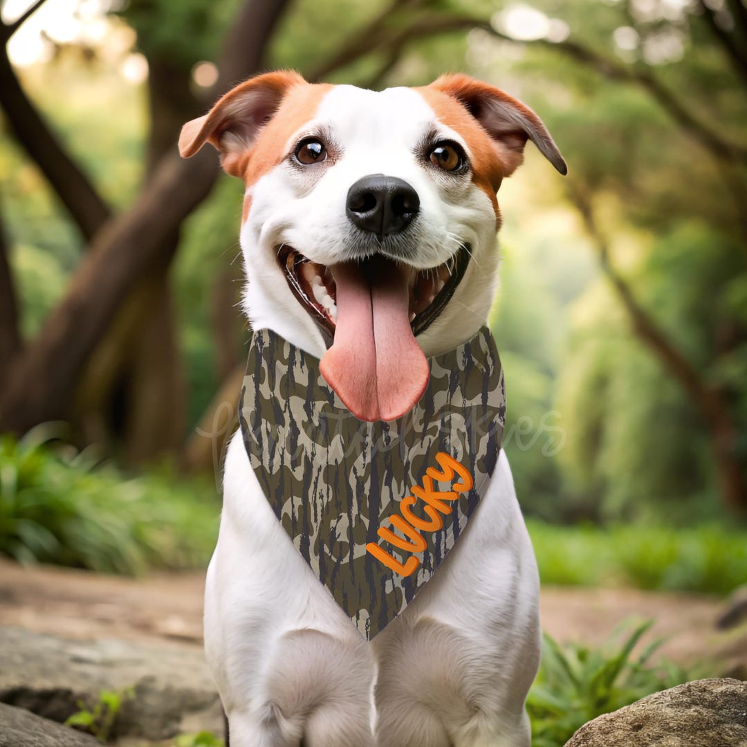 Personalized Pet Bandana | Custom Slip on Dog & Cat Bandana | Custom ...