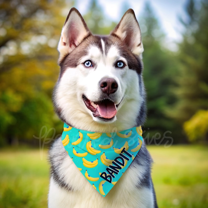 Personalized Pet Bandana | Custom Slip on Dog & Cat Bandana | Custom ...