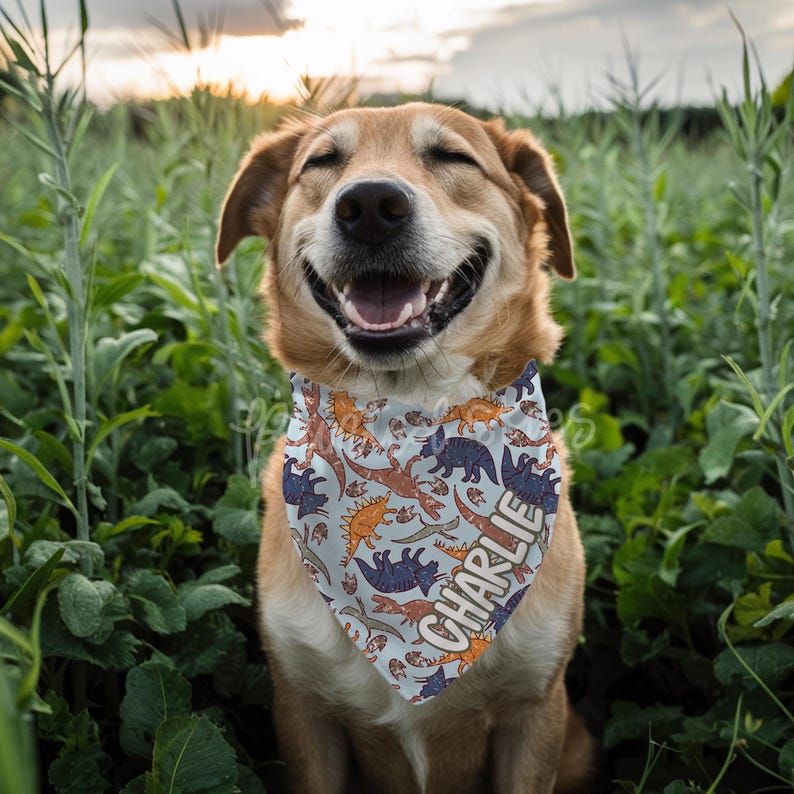 Personalized Pet Bandana | Custom Slip on Dog & Cat Bandana | Custom ...