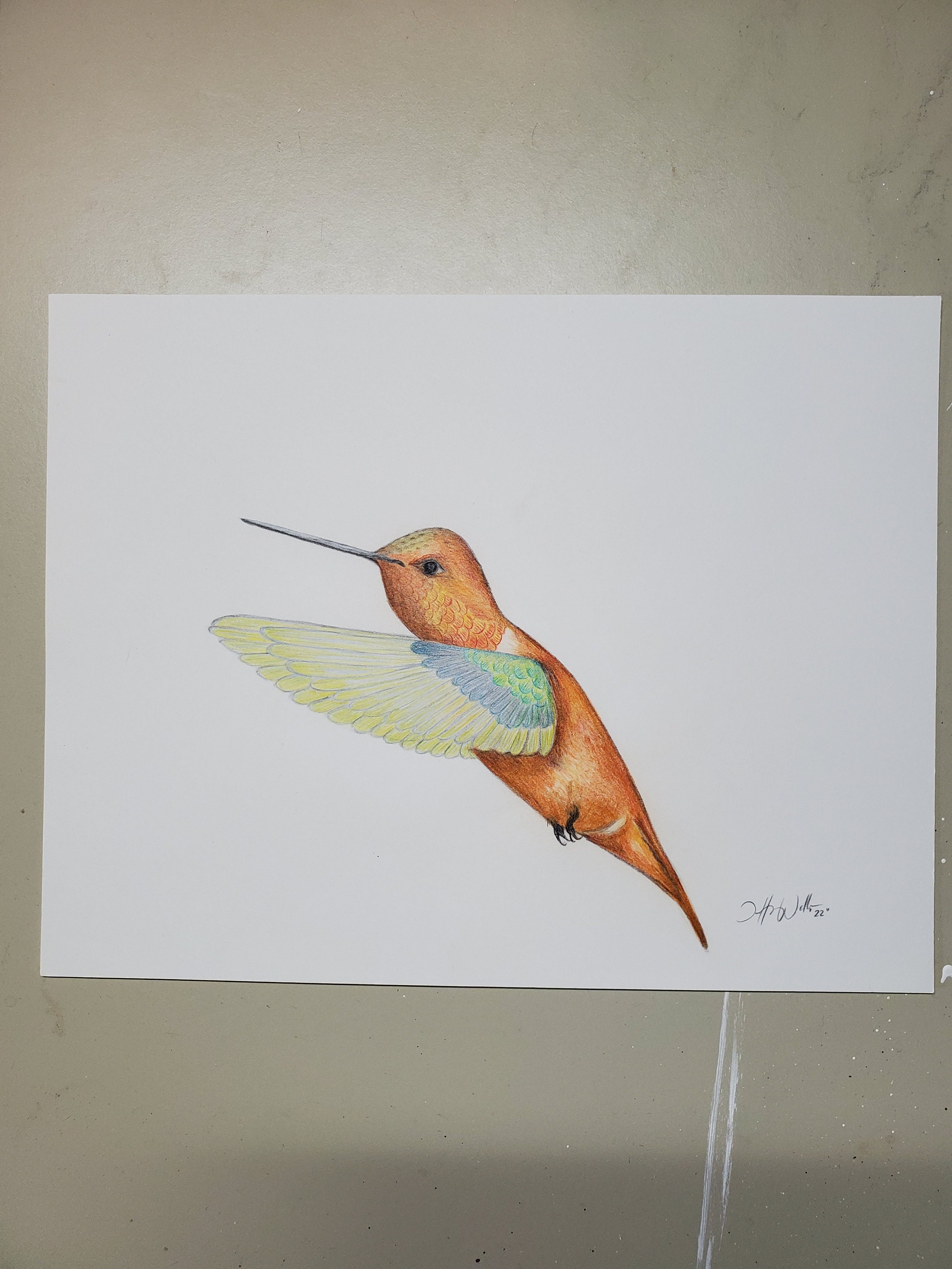 Humming, Original Color Pencil Drawing - Etsy
