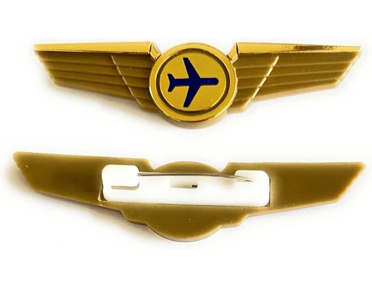 Airlines Pilot Pin Airplane Gold Wings Pin in Party Favor Package - Etsy