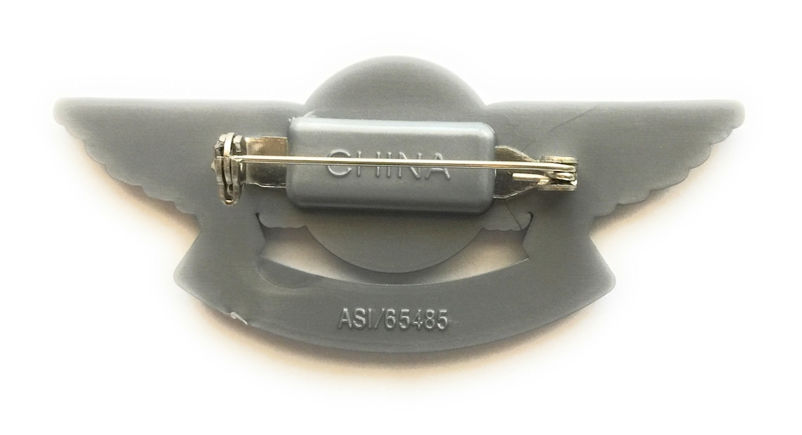 UNITED STATES Space Force Pilot Wing Military Pins Lot of 2 | Etsy