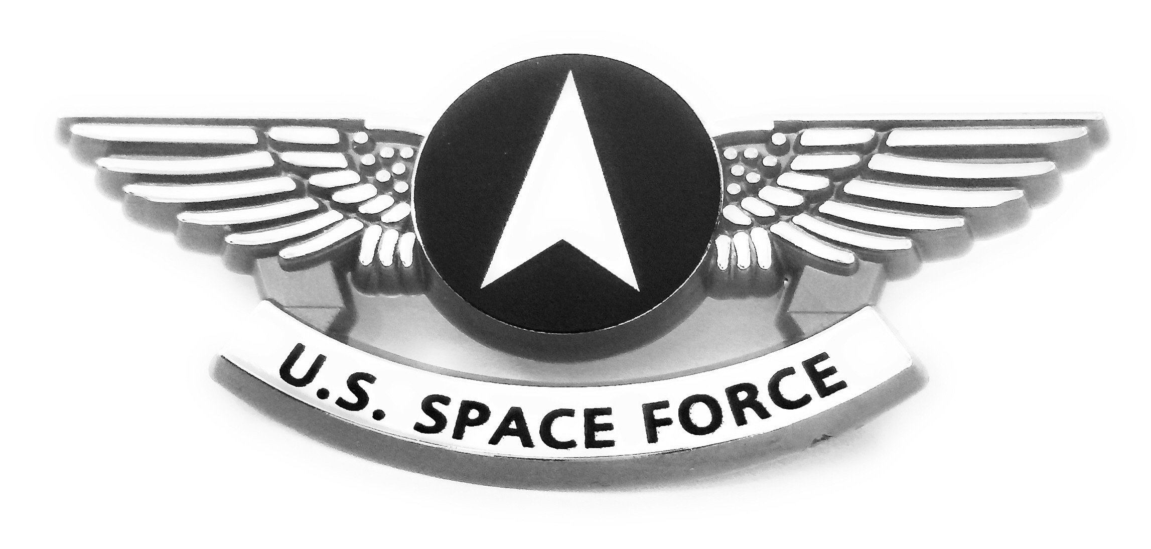 UNITED STATES Space Force Pilot Wing Military Pins Lot of 2 - Etsy