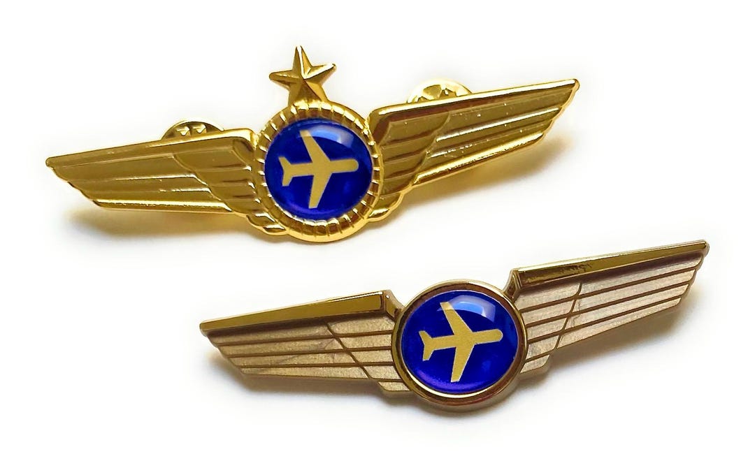 Airlines Pilot 1st Officer Captains and Kiddie Wings Badges Pins Lot of ...