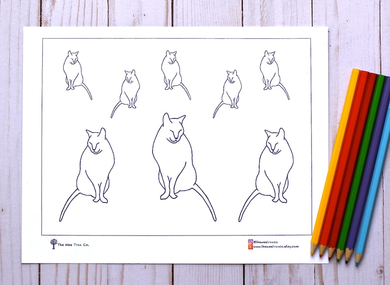 Printable Colouring Placemat, Cat Colouring Picture, Coloring Activity ...