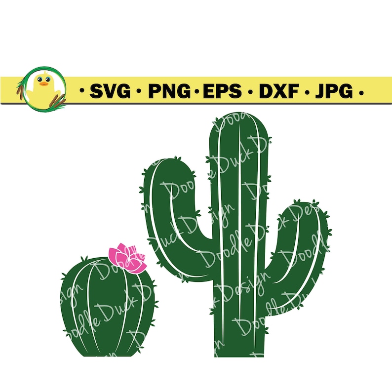 Cactus Graphic Set Svg Png Jpg Dxf Eps - Etsy