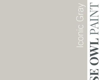 Wise Owl One Hour Enamel Paint Iconic Gray - Etsy