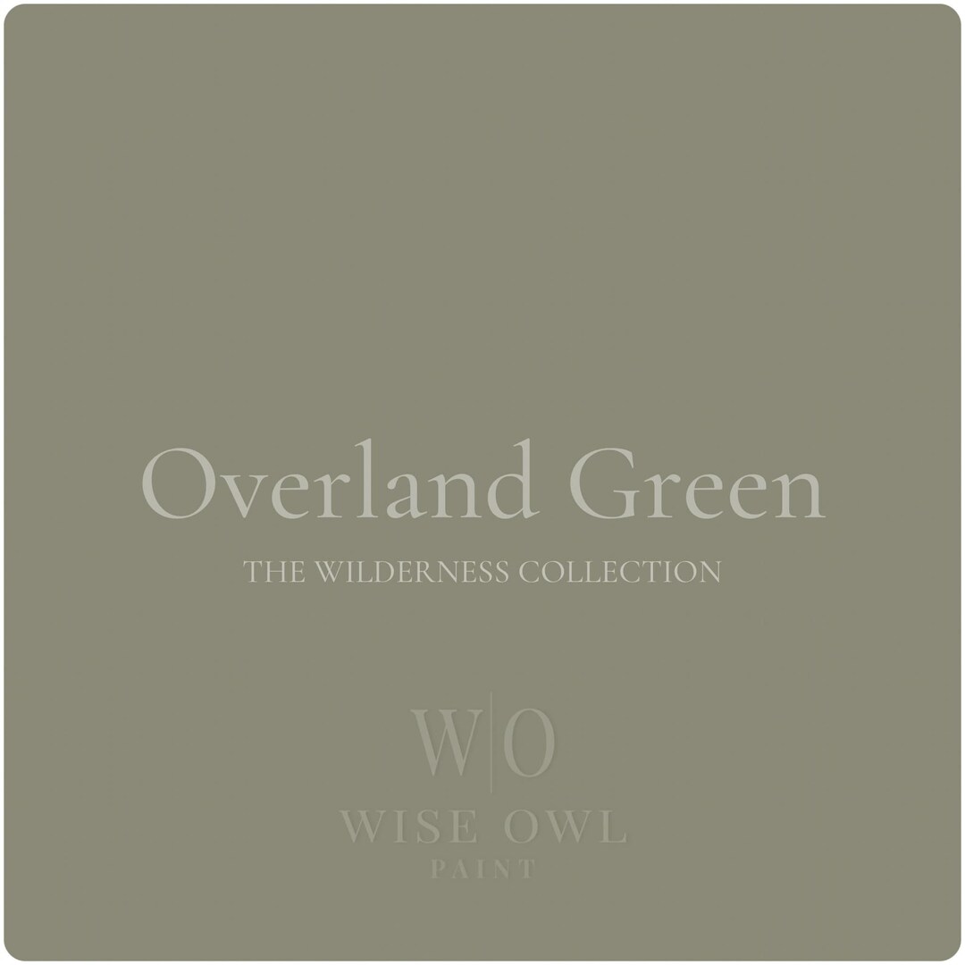Overland Green NEW Wilderness Collection QUART Wise Owl One Hour Enamel ...